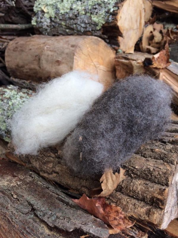 Organic Jacob Sheep Wool Yarns – Spring Hills Farm, Dalton, PA