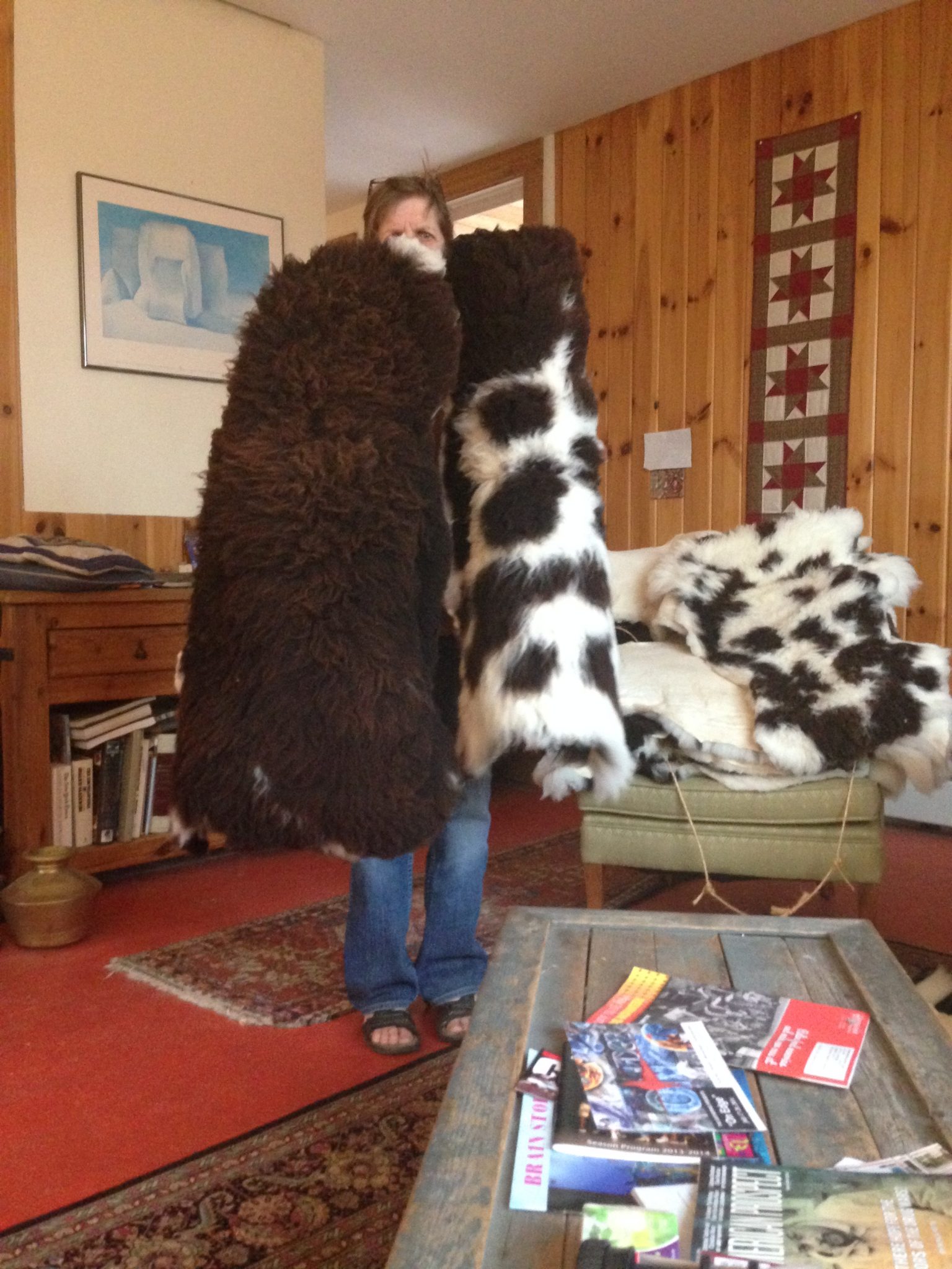 Organic Jacob Sheep Wool Yarns – Spring Hills Farm, Dalton, PA